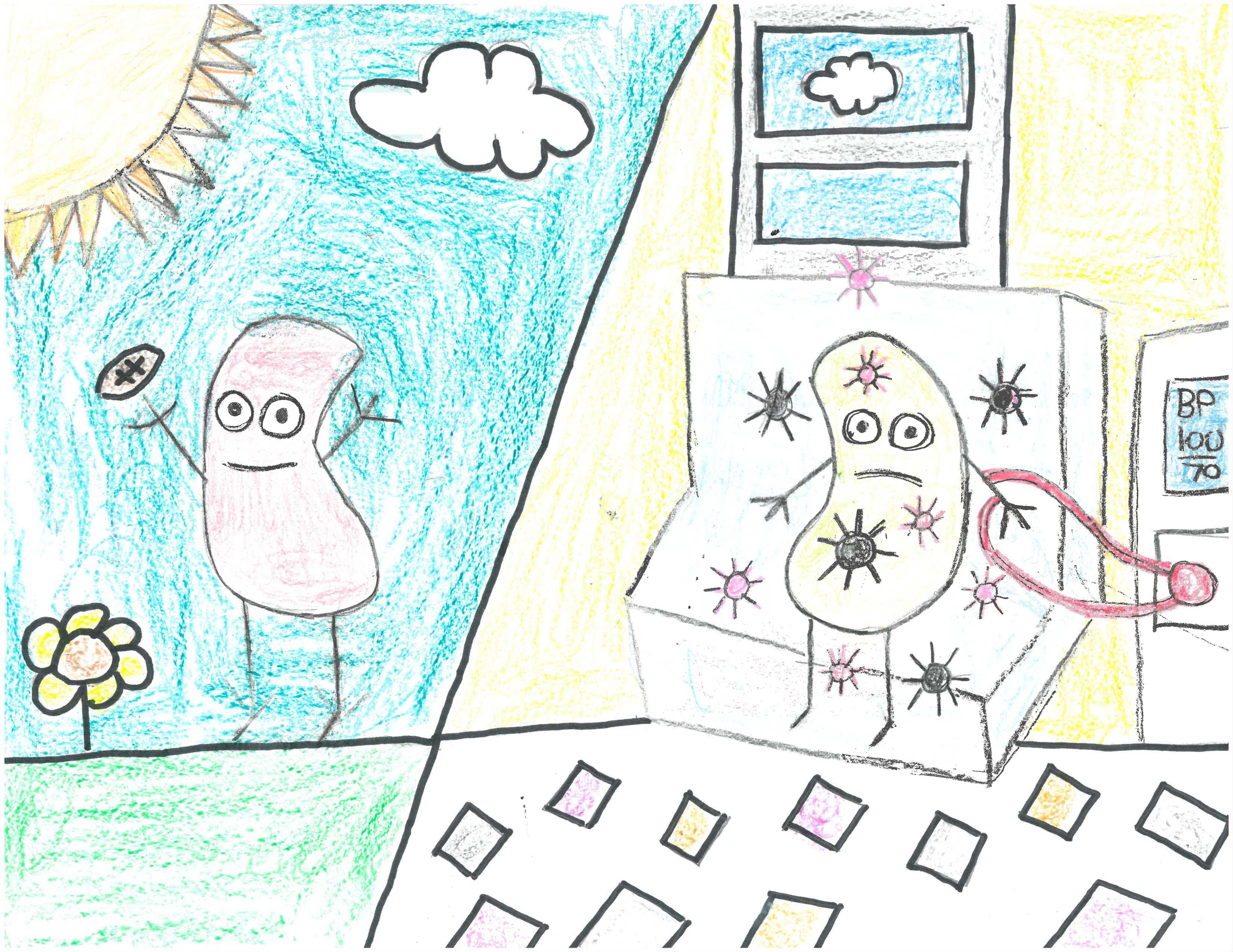 Kidney Drawing For Kids